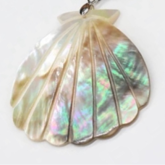 Jewelry | Abalone Clam Shell Rainbow Iridescent Carved Seashell Oyster ...